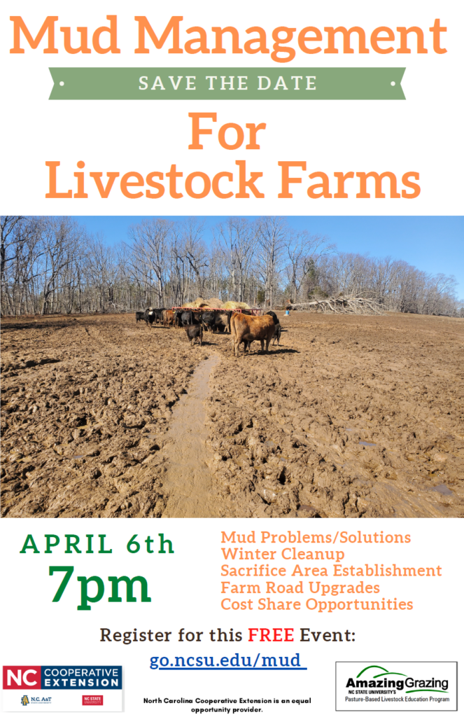 Mud Management for Livestock Farms | N.C. Cooperative Extension